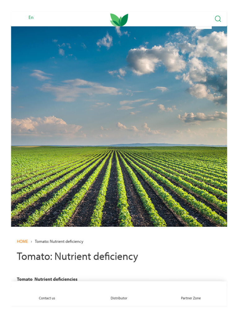 Tomato Nutrient Deficiency Guide | PDF | Plant Nutrition | Nutrients