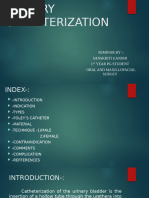 Catheter Care Plan | PDF | Catheter | Medical Specialties