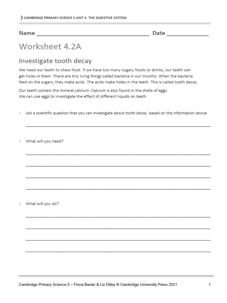 Science Stage 5 - Thinking Scientifically Worksheets - Unit 4 ...