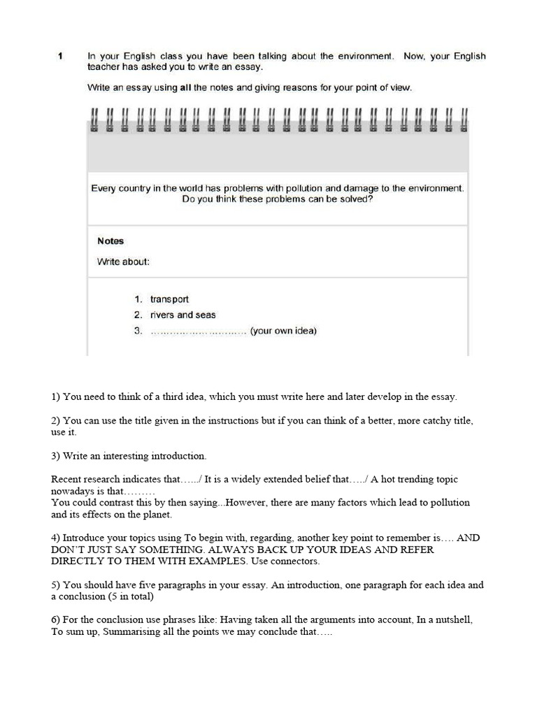 Essay Advice and Example | PDF | Social Science