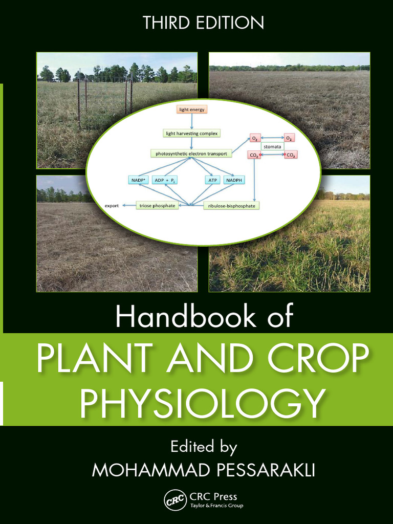 Handbook of Plant and Crop Physiology, Third Edition (Mohammad Pessarakli) (Z-Library) | PDF ...