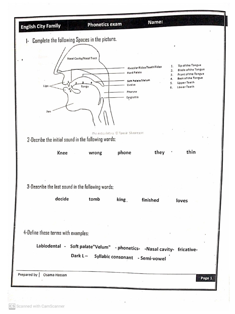 Phonetics Exams | PDF | Phonetics | Consonant