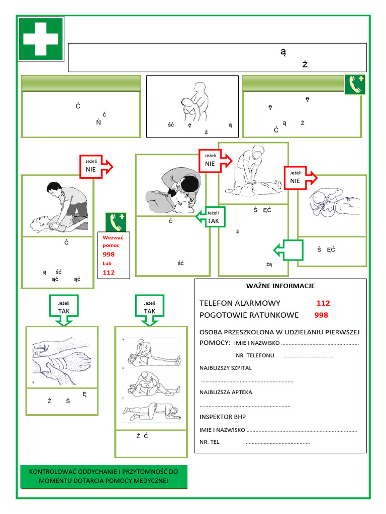 INSTRUKCJA UDZIELANIA PIERWSZEJ POMOCY - Wer2 | PDF