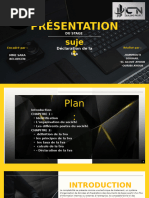 Logiciel COMPTA-JBS pour Windows | PDF | Bilan comptable | Comptabilité