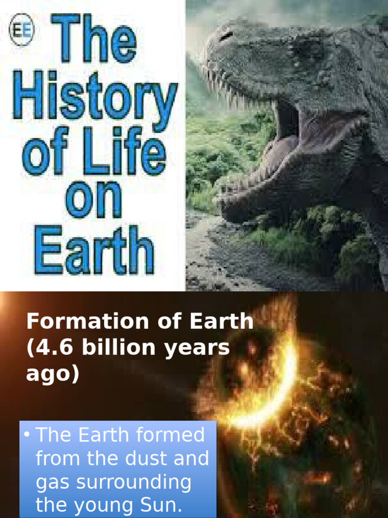 History of Life On Earth | PDF | Homo | Life