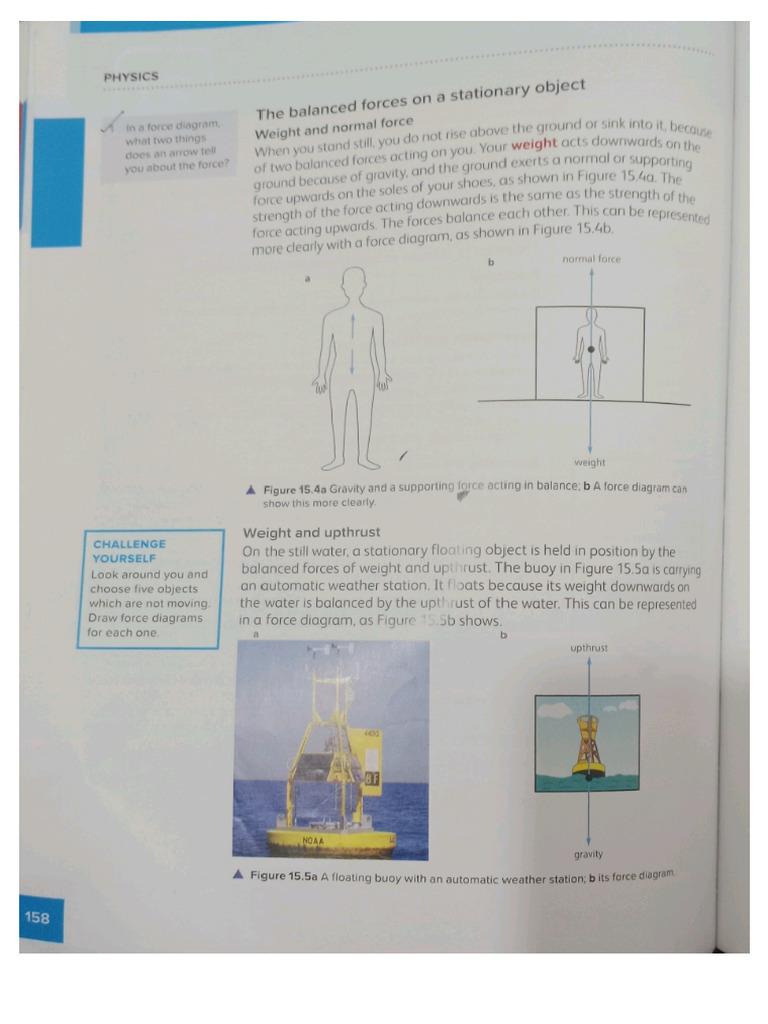 Forces Chapter Handouts | PDF