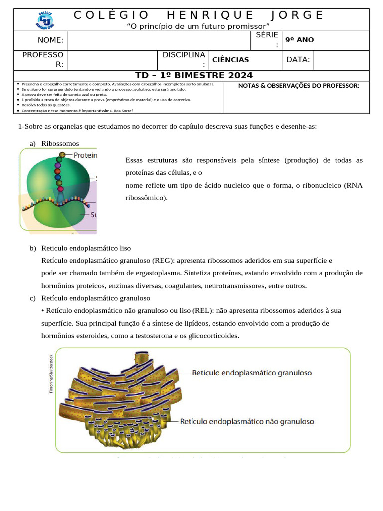 TD CIEN 9 Ano Junho | PDF | Célula (Biologia) | Meiose