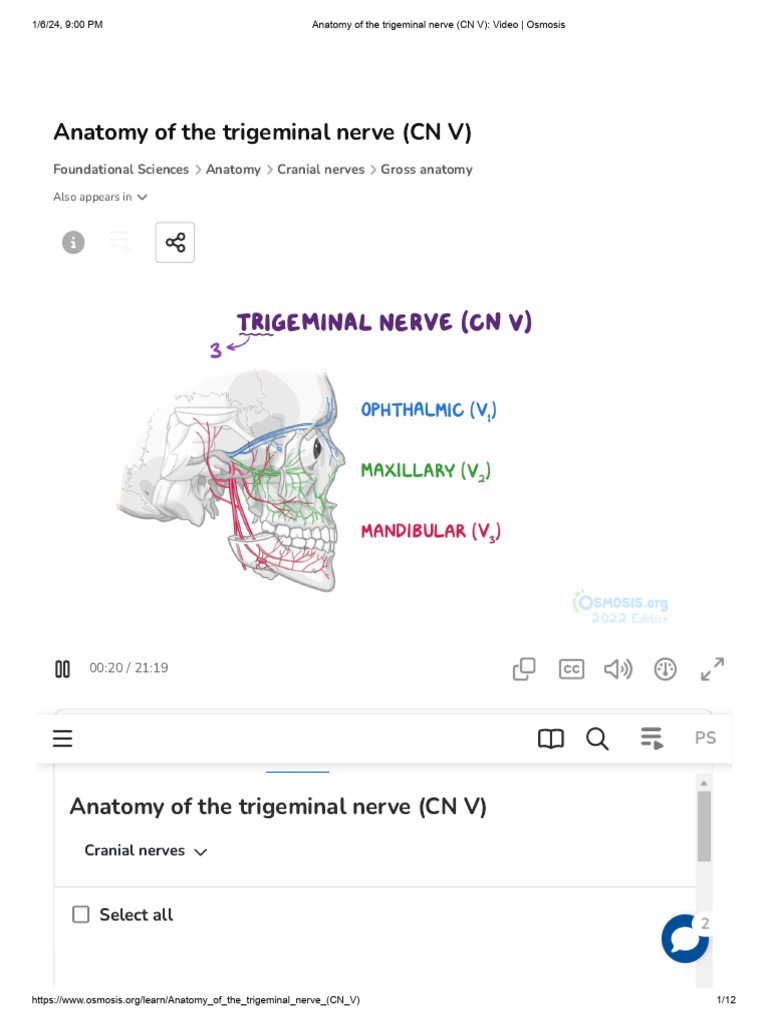 Anatomy of the Trigeminal Nerve (CN V) | PDF | Nervous System ...