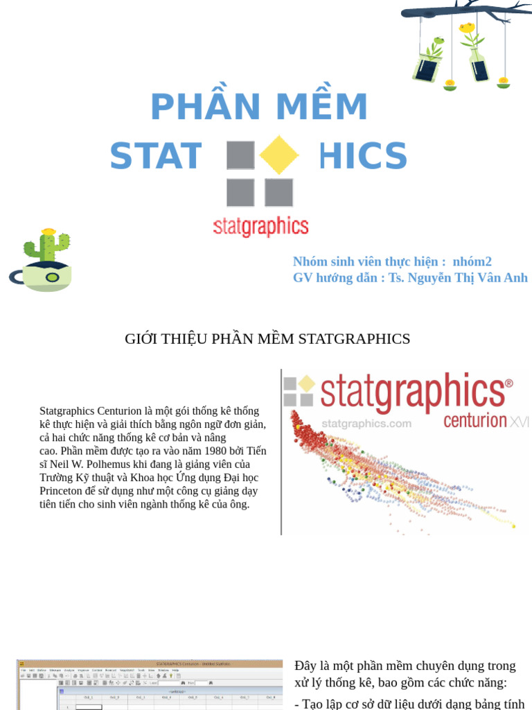Stat Graphics | PDF