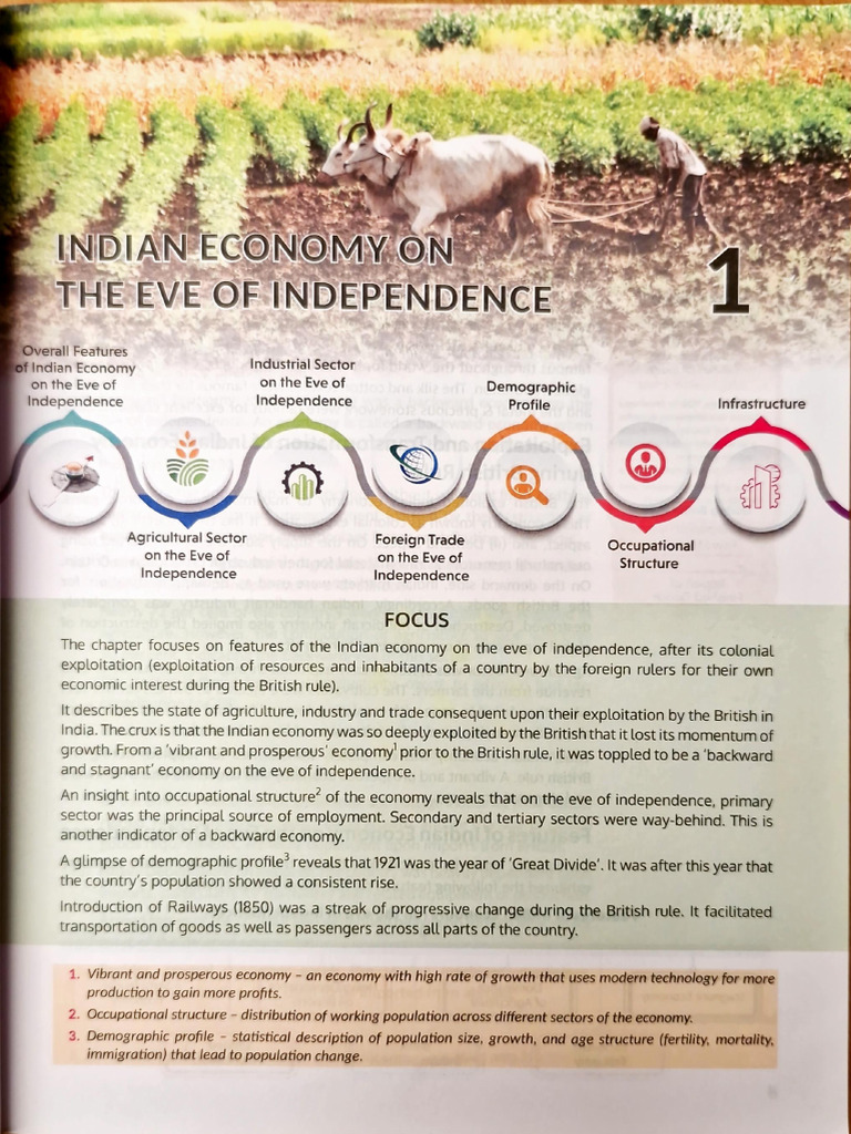 Indian Economic Development | PDF | Agriculture | Economy Of India