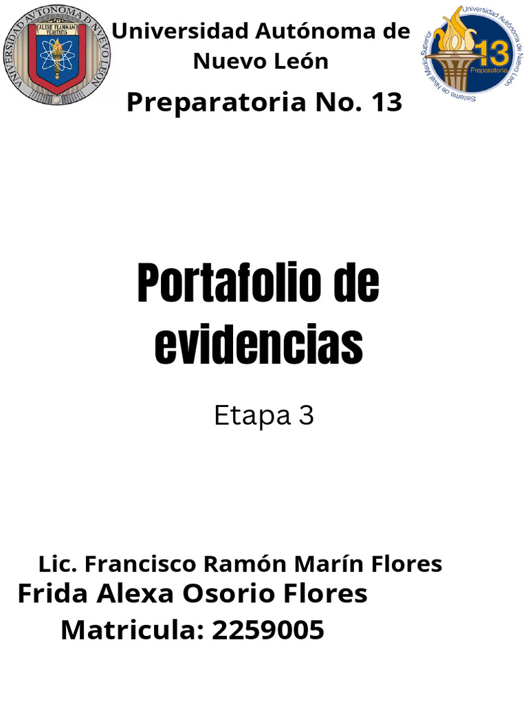 Portafolio de Evidencia | PDF
