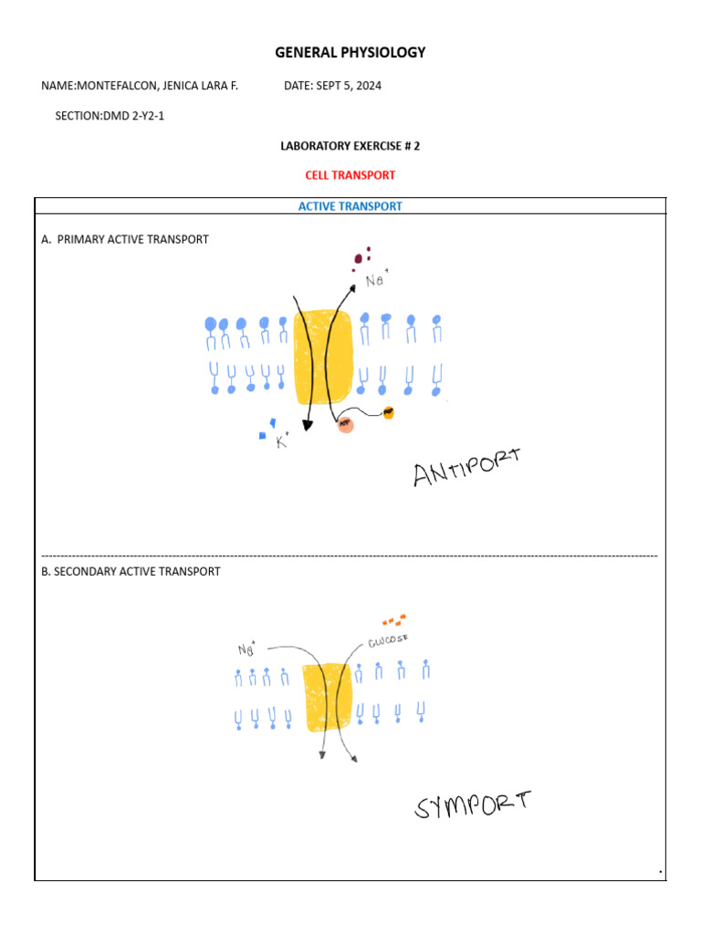 Cell Transport Mechanisms Explained | PDF | Cell Membrane | Diffusion