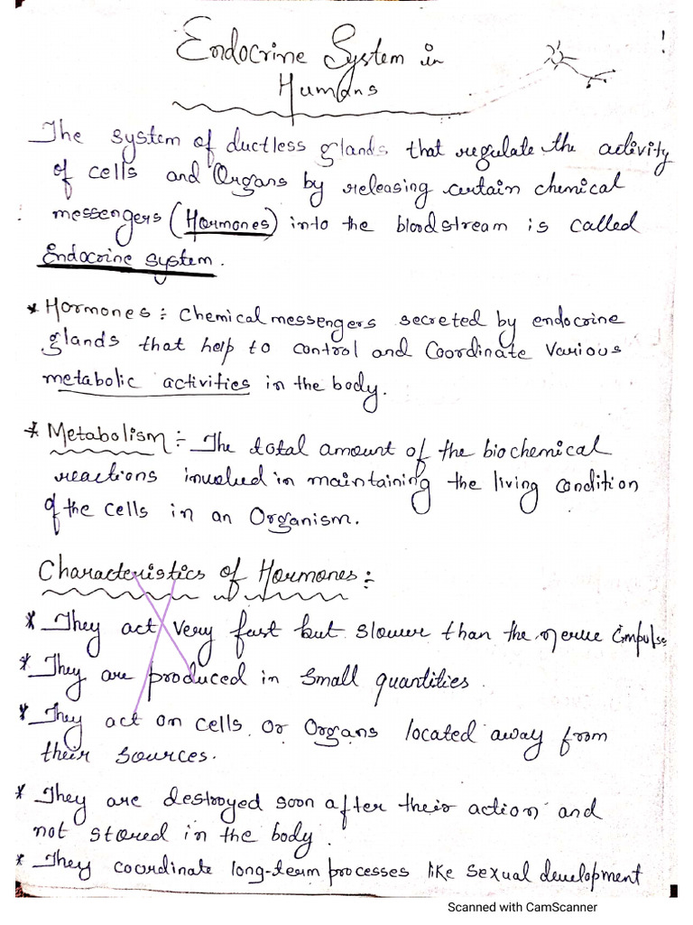 Endocrine System (ICSE CLASS 8 BIO) PART-1 | PDF