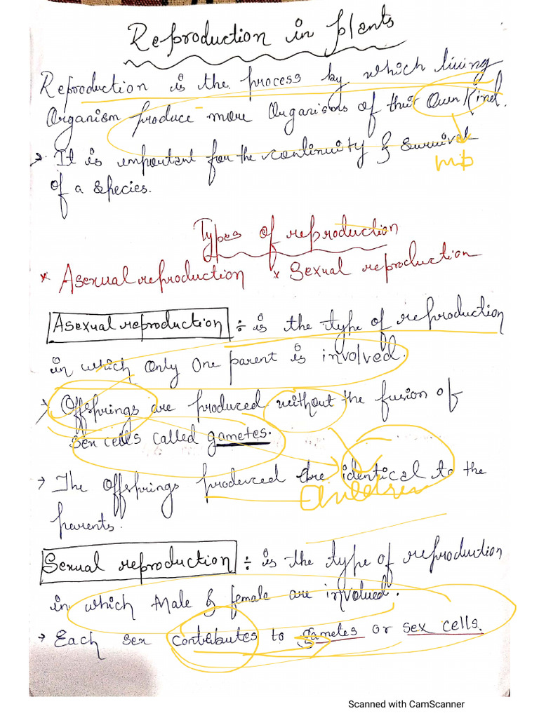 Reproduction in Plants (Part - 1) | PDF