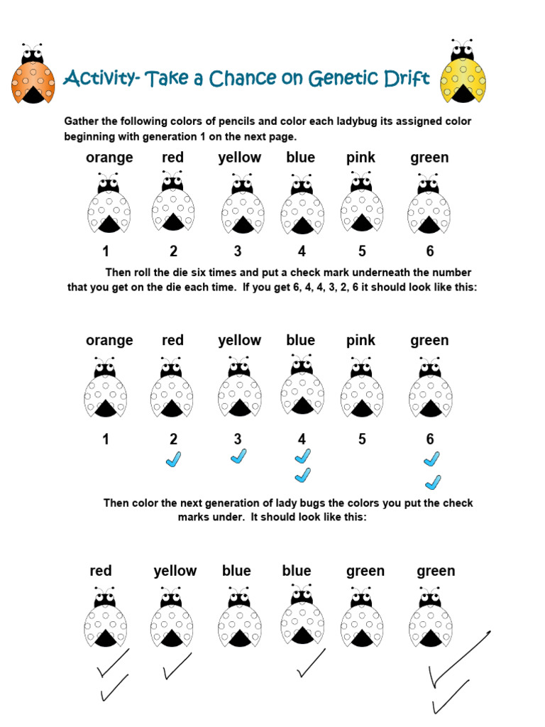 Evolution Genetic Drift Activity 3 | PDF