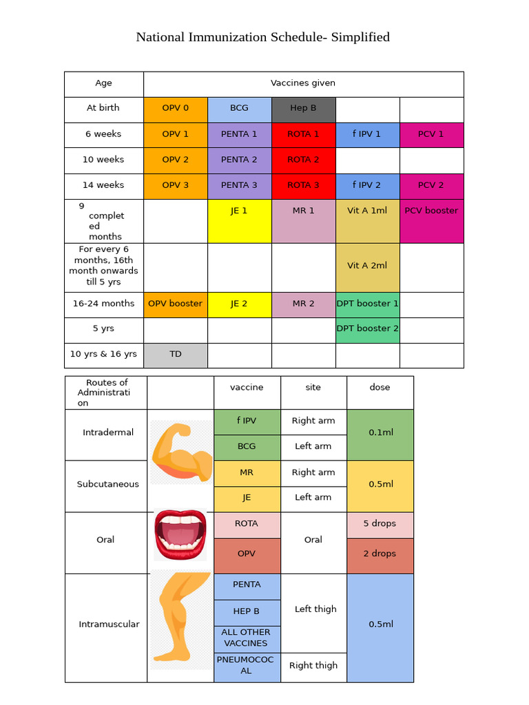 Immunization Guide for Parents | PDF | Vaccines | Measles