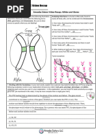 Video Recap of Codon Chart Video Companion by Amoeba Sisters | PDF ...