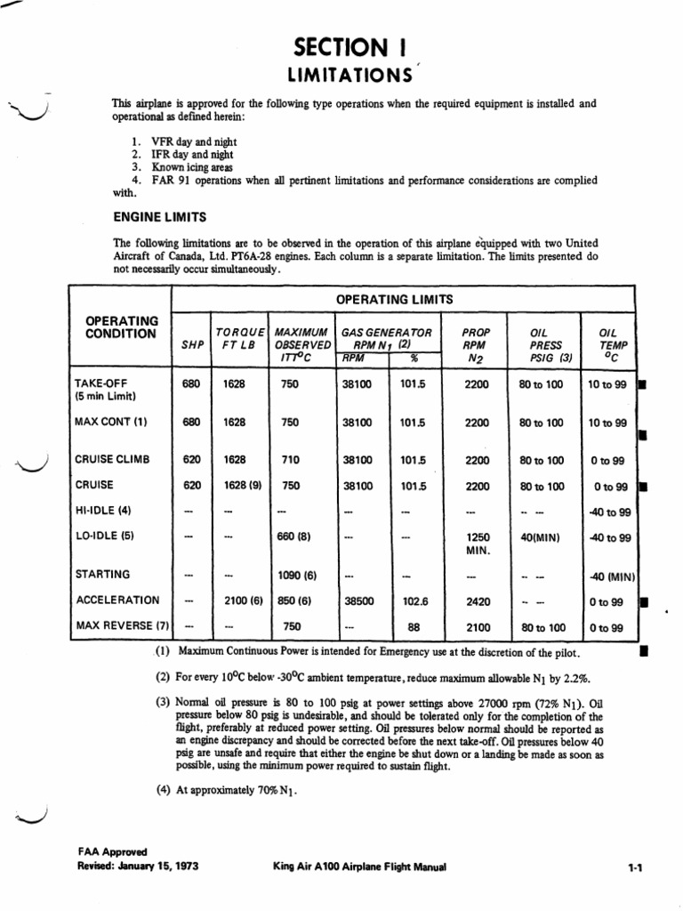 A100 1 Limitations | PDF