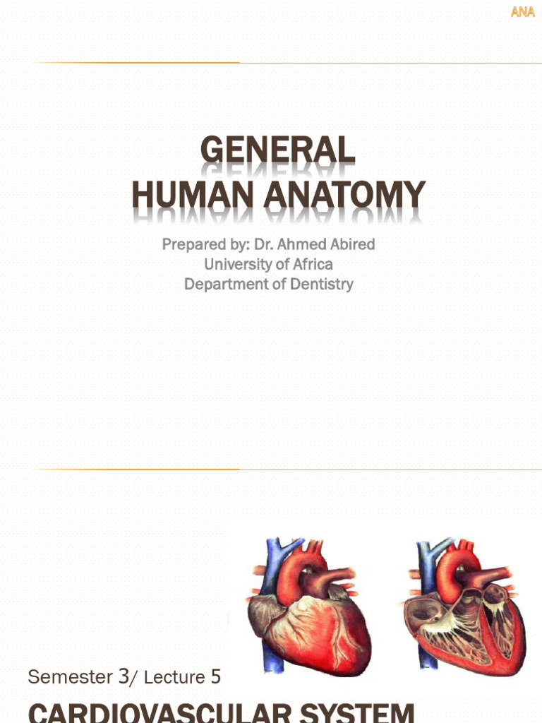 Overview of the Cardiovascular System | PDF | Heart Valve | Coronary ...