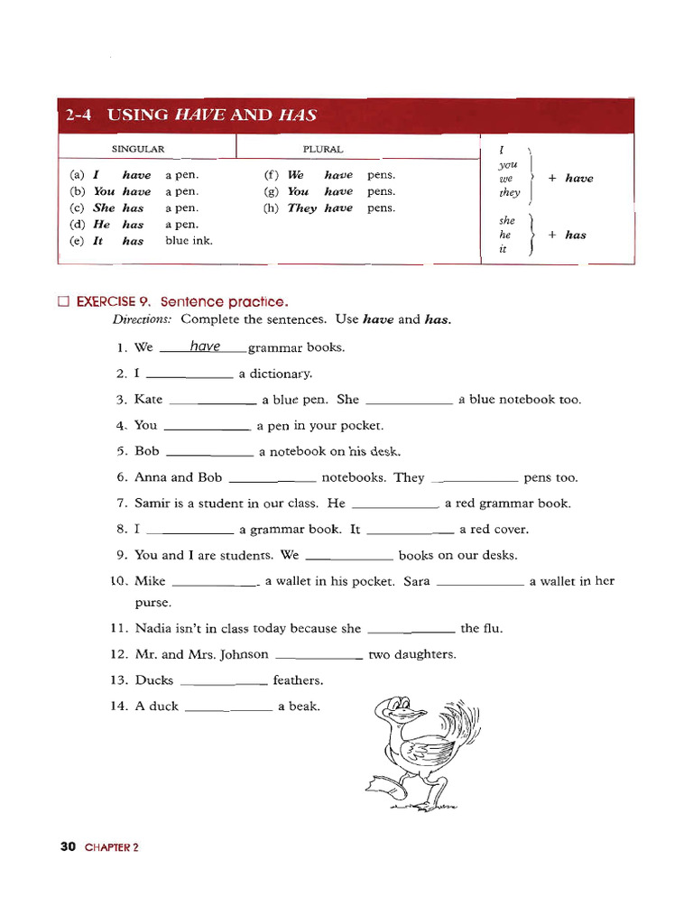 Use of Have and Has | PDF