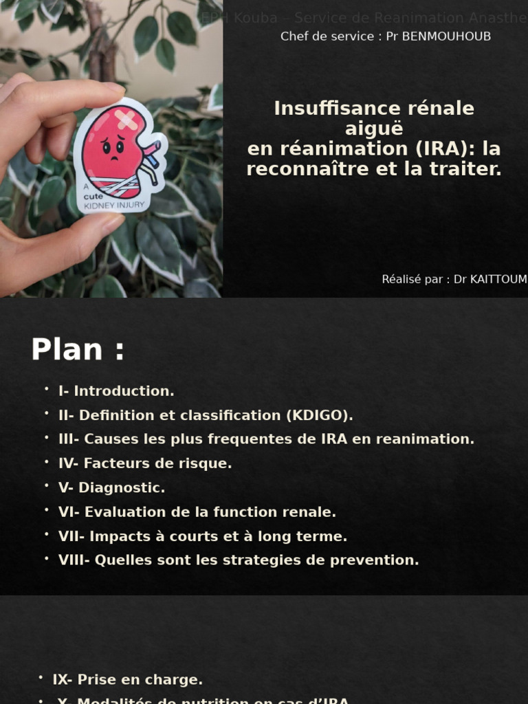Insuffisance rénale aiguë en réanimation | PDF | Insuffisance rénale ...