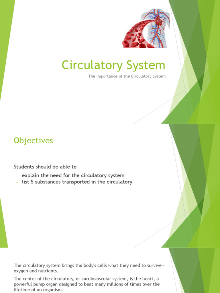 Circulatory System Importance 2024 | PDF | Wellness | Science & Mathematics
