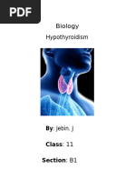 MSBSHSE Class 12 Information Technology Commerce Textbook | PDF | Hypothyroidism | Nutrition