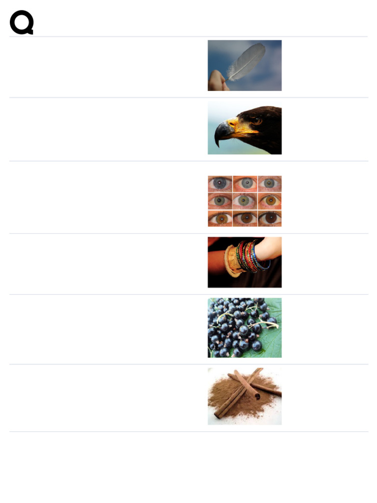 A Girl Called Owl | PDF | Wellness | Science & Mathematics