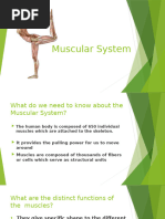 Muscular System Grade 4 Science | PDF | Wellness