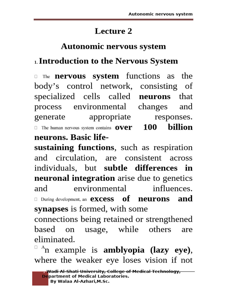 Lecture 2 Autonomic Nervous System PDF | PDF | Autonomic Nervous System ...