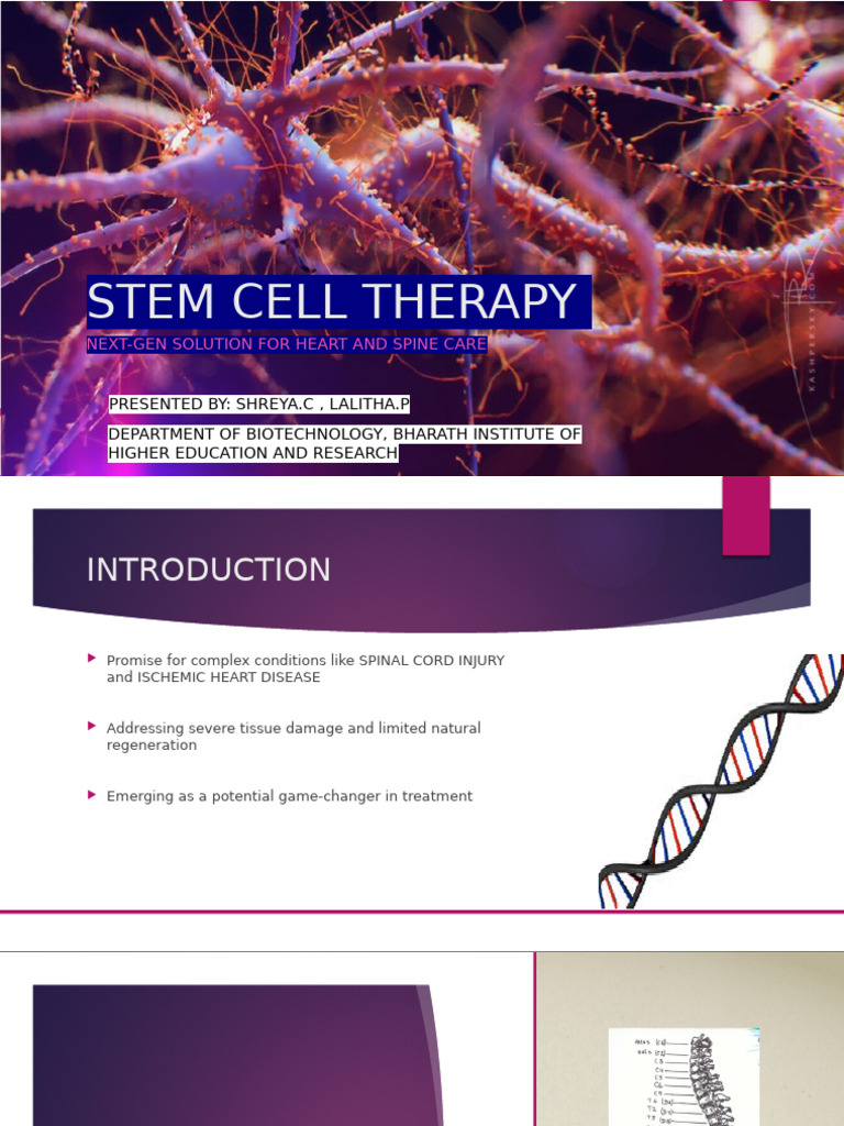 Stem Cell Therapy PPT | PDF | Stem Cell | Mesenchymal Stem Cell