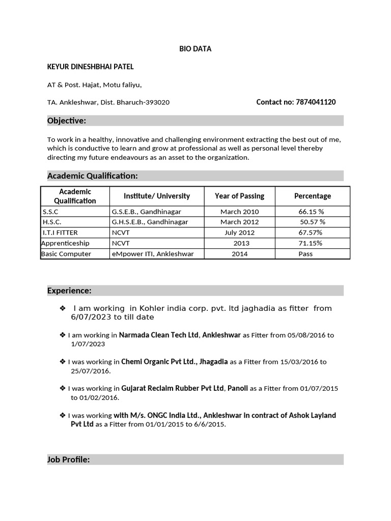 Keyur Patel's Professional Bio Data | PDF