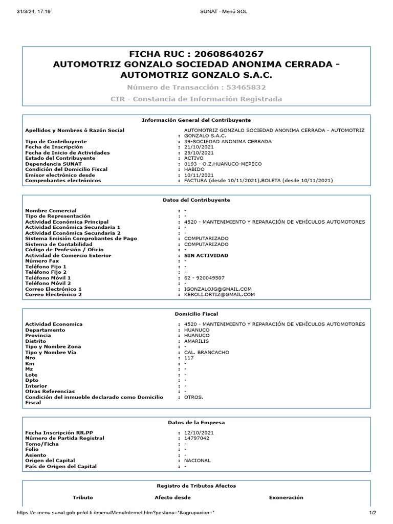 Ficha Ruc-1 | PDF | Economias | Business
