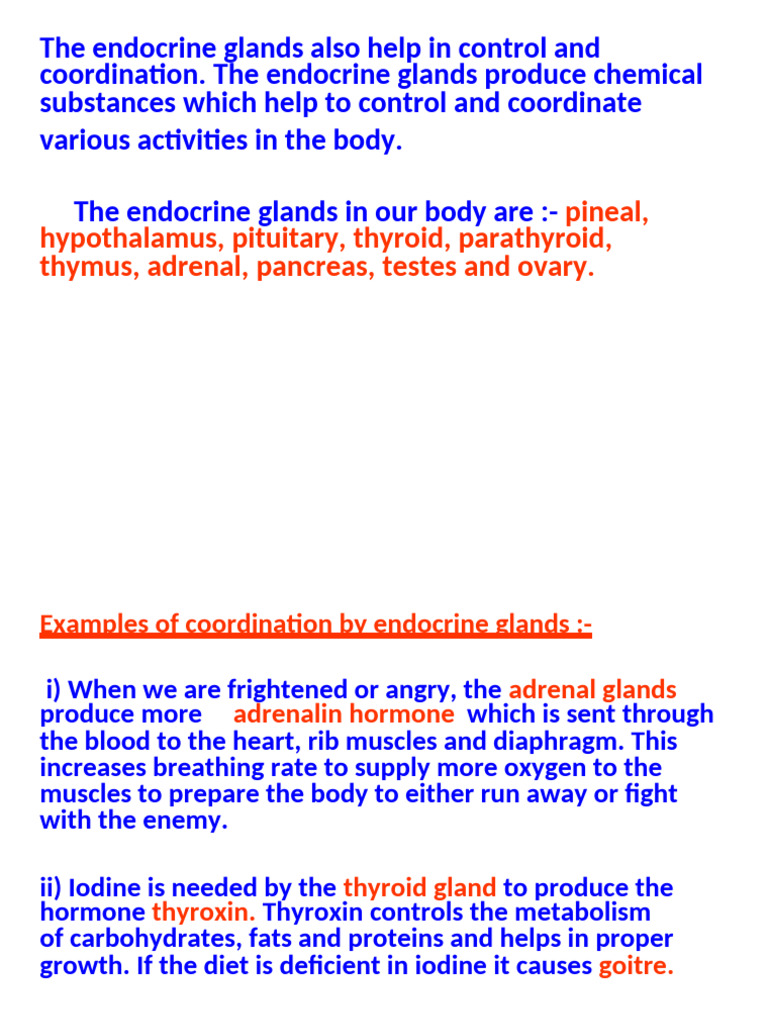Animal Hormones | PDF
