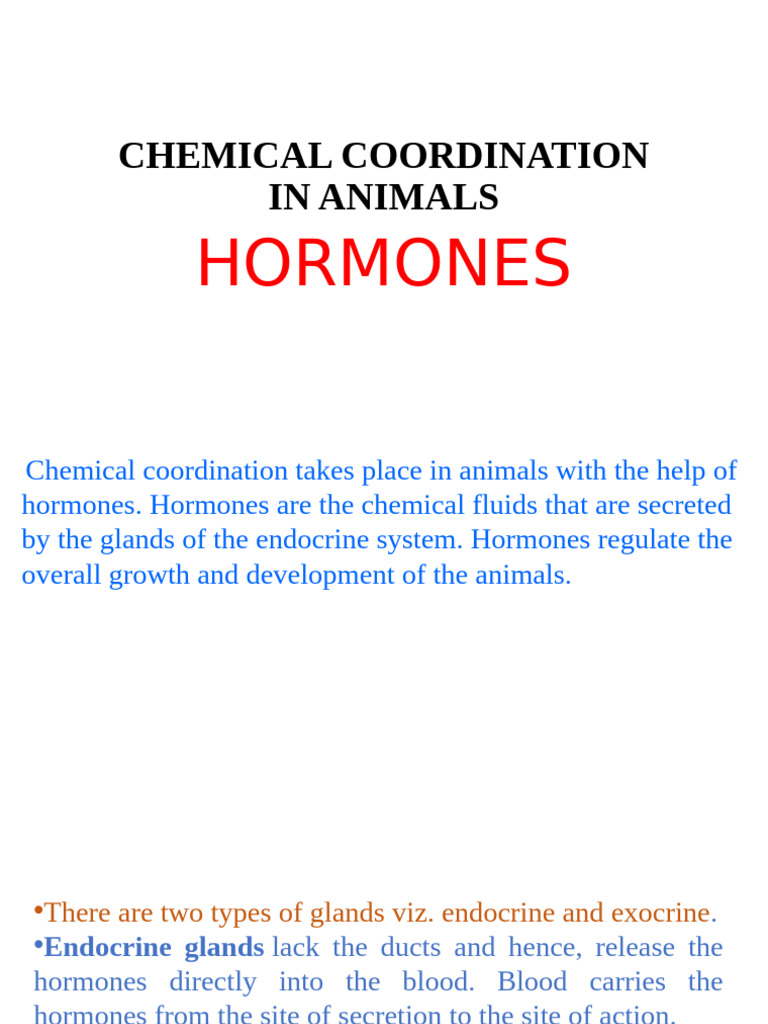 Chemical Coordination in Animals | PDF | Hormone | Endocrine System