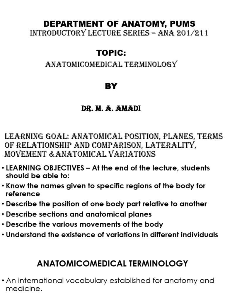 Anatomical Terminology 23 24 | PDF | Anatomical Terms Of Motion ...