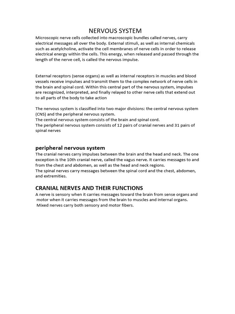 PDF Nervous System | PDF | Nervous System | Nerve
