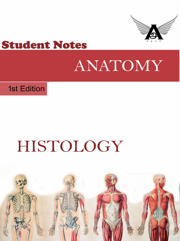 Histo Anat D&R Agam | PDF | Lymphatic System | Lymph Node