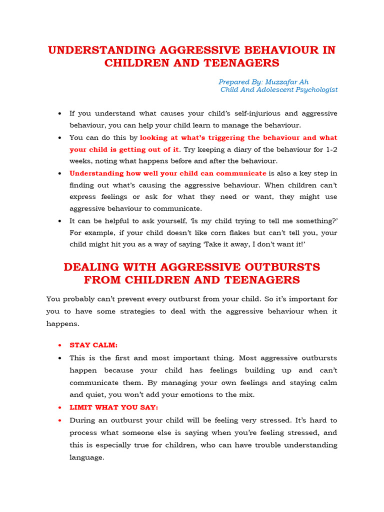 Understanding Aggressive Behaviour in Children and Teenagers | PDF ...