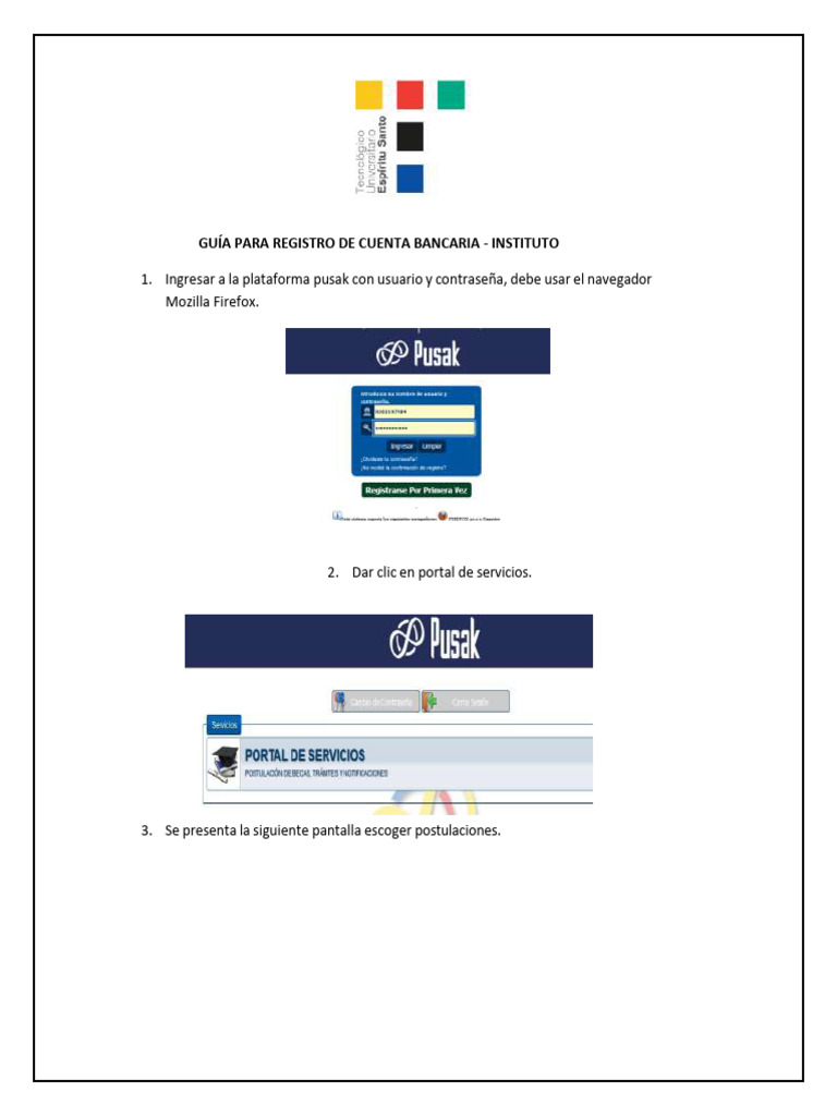 Registro de Cuenta Plataforma Pusak - Instituto-2 - 241025 - 205951 | PDF