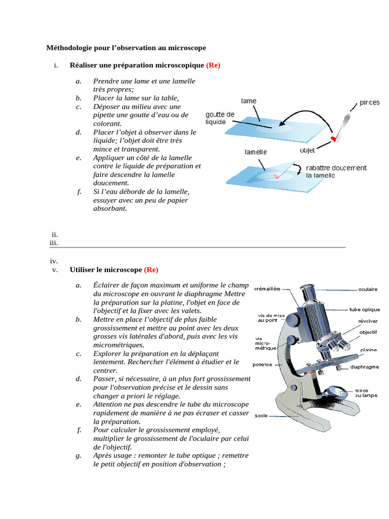 Méthodologie Pour Observation D'une Lame Zu Microscope L | PDF