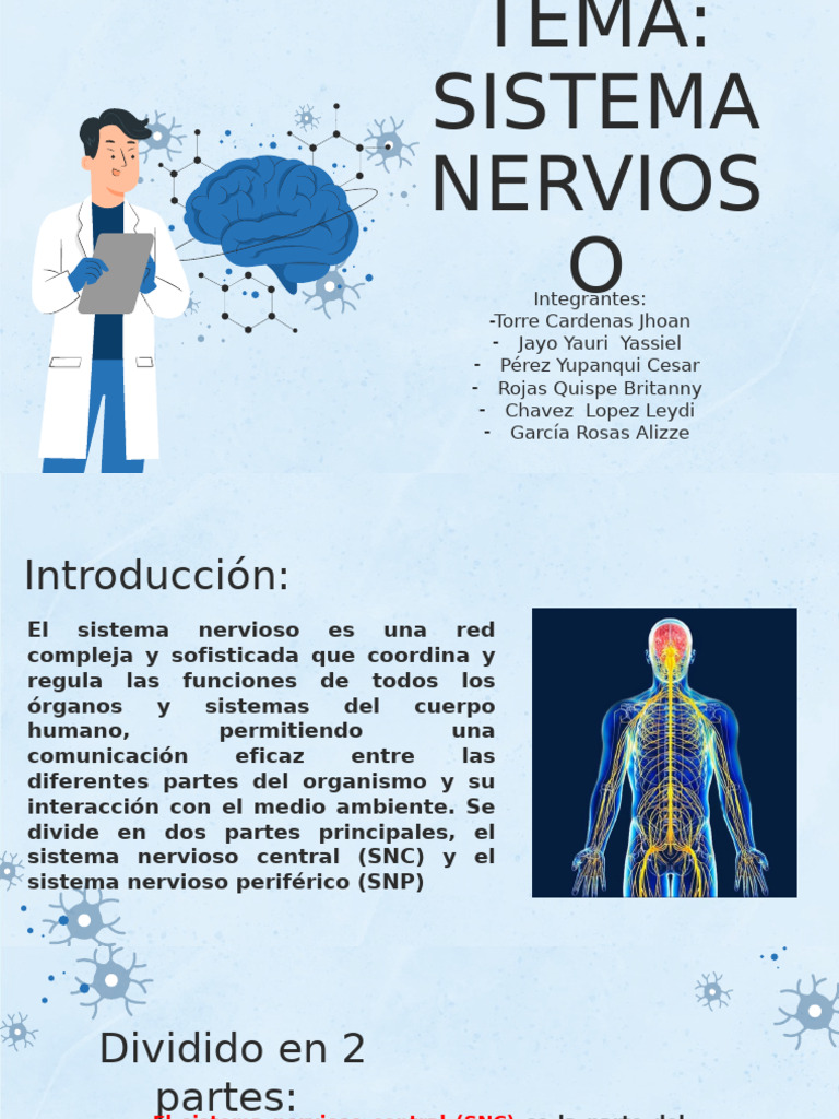 Exposicion Cyt Sistema Nervioso | PDF | Cerebro | Sistema nervioso central