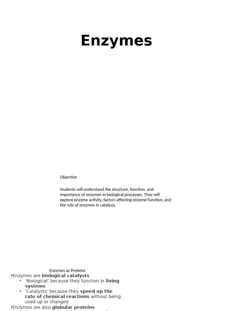 Understanding Enzymes: Structure and Function | PDF | Enzyme | Active Site