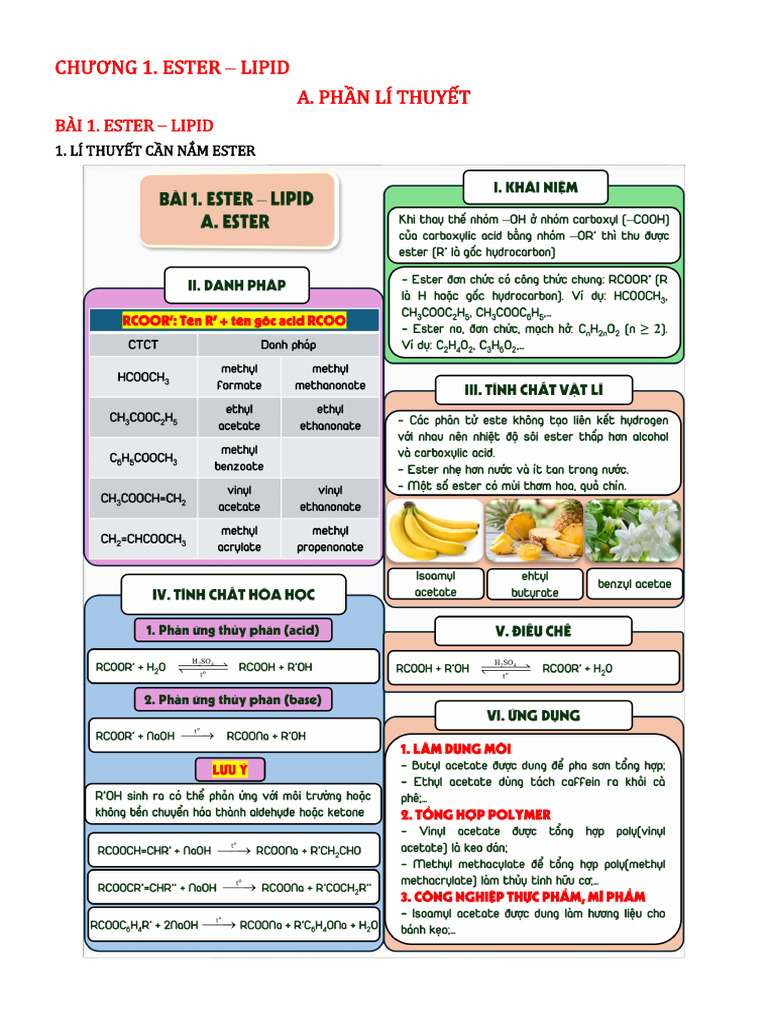 Chương 1. Ester - Lipid (Bản Hs) | PDF