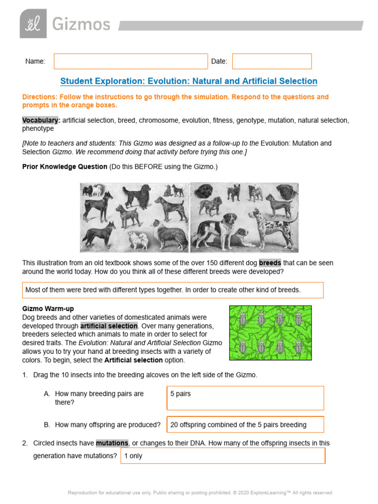 Landon Ragins - EvolutionNaturalArtificialSE | PDF | Natural Selection ...