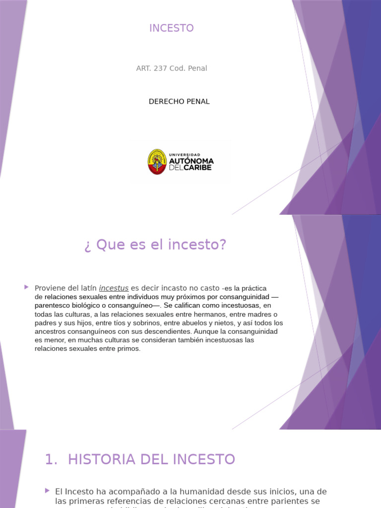 Incesto Derecho Penal | PDF | Incesto | Justicia