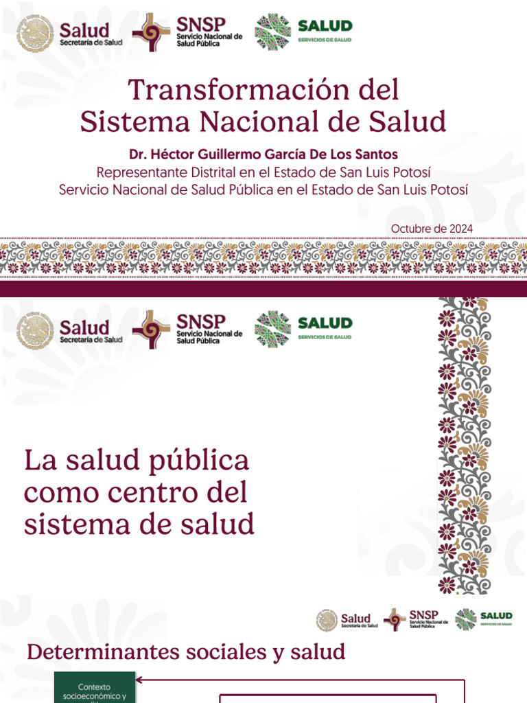 SNSP SLP, HGGDLS - Transformación Del Sistema Nacional de Salud | PDF | Salud pública