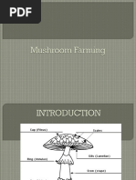 Mushroom Cultivation Power Point | PDF | Mushroom | Foods