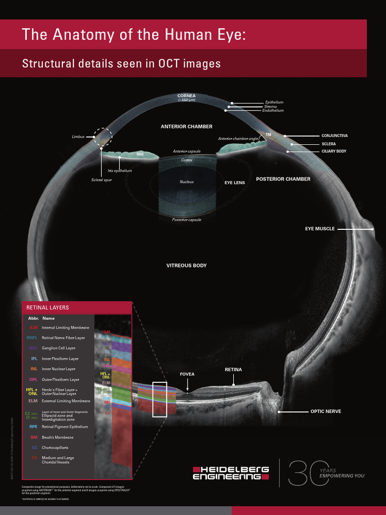 200571-001 - General - Promotional Material - Practice-Poster-Whole-Eye ...