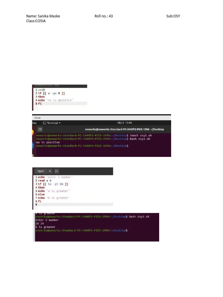 10 Practical | PDF | History